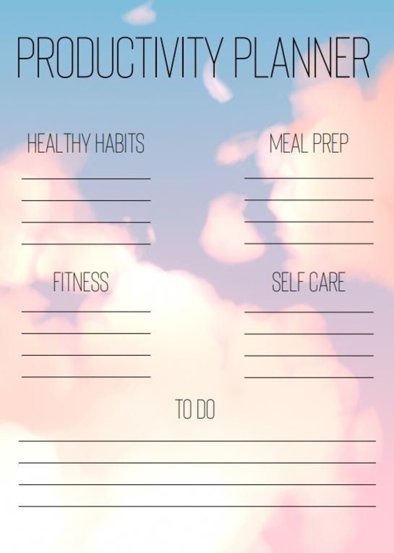 Download & Printable Planner: Productivity Planner, Meal Prep, Wellness ...