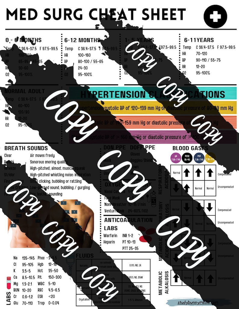 Med Surg One-pager Cheat Sheet for Busy Nursing Students - Reference ...