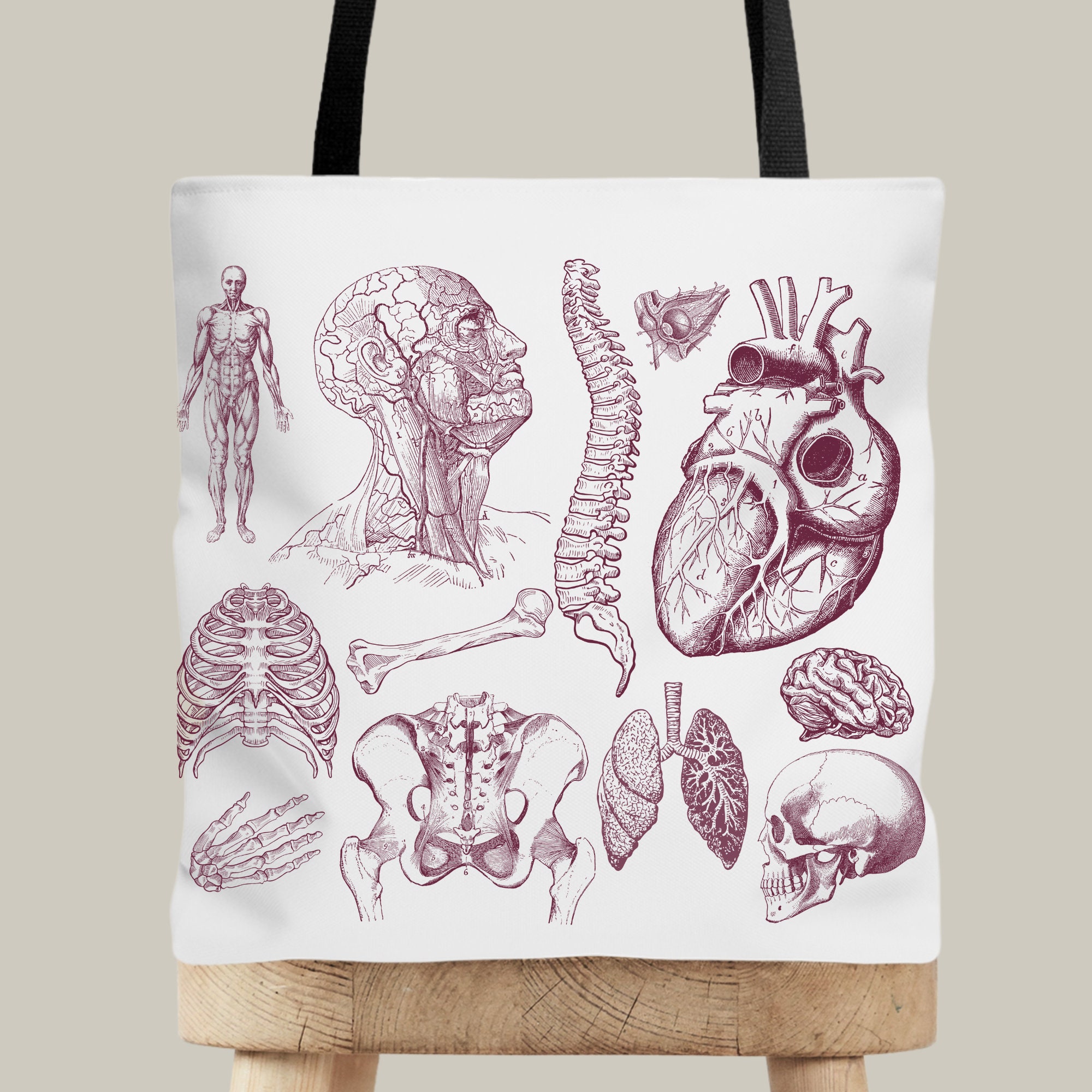 Human Anatomy Tote, Medical Student Bag, Nursing Bag, Nursing Student ...