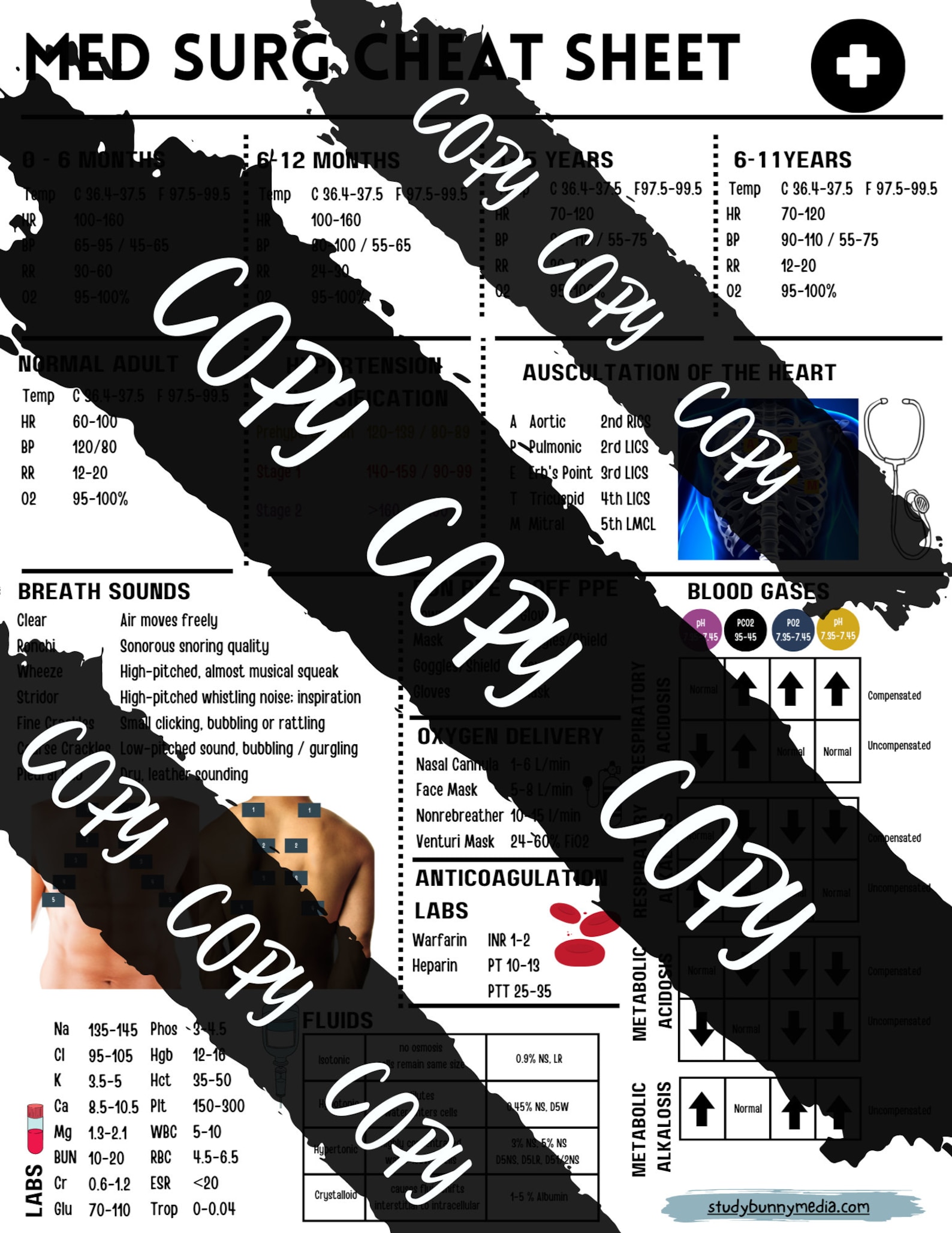 Med Surg One-pager Cheat Sheet for Busy Nursing Students - Reference ...