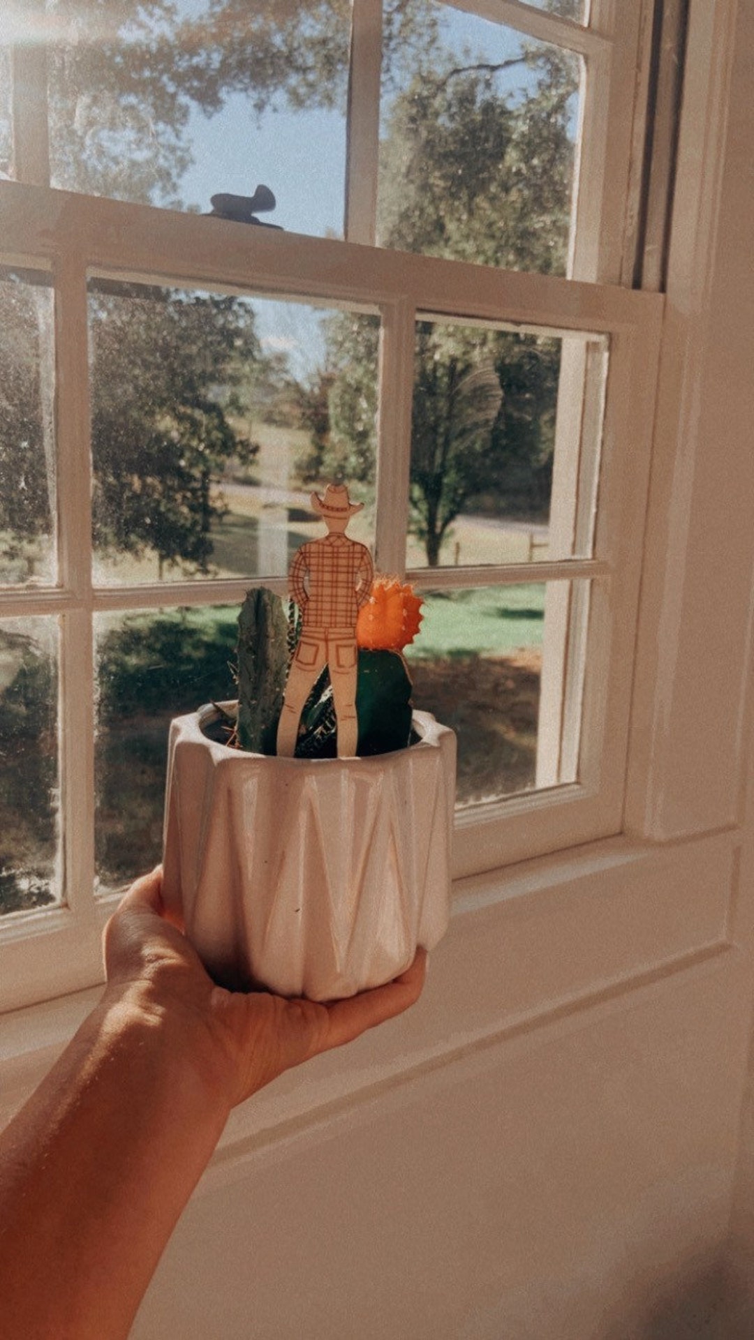 Western Cowboy Plant Stake Planter Decor - Etsy