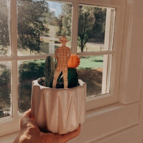 Western Cowboy Plant Stake Planter Decor - Etsy