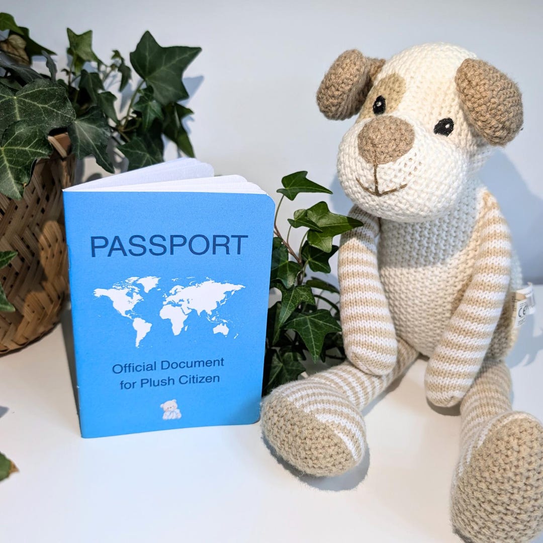 Toy Passport for Plush Animals | Kids Pretend Play Travel - Etsy