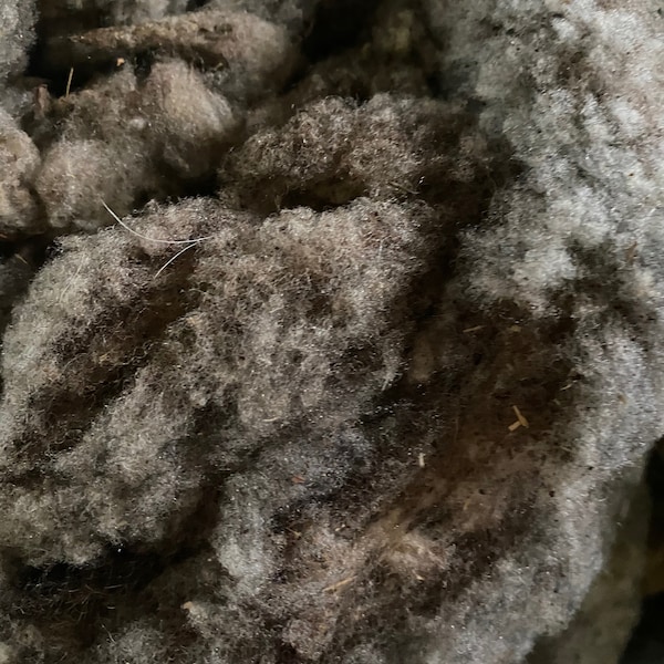 Wool Fleece - Etsy