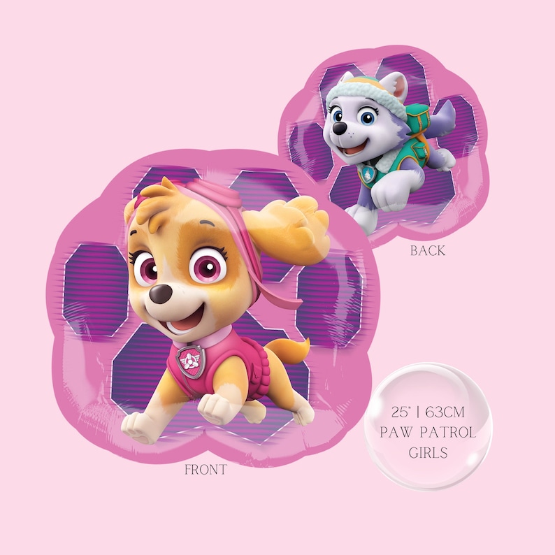 Paw Patrol Skye Balloons: Licensed Girl Birthday Party Decor - Etsy