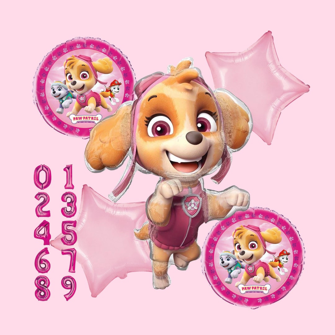 Paw Patrol Skye Balloons: Anagram Licensed Girl Birthday Decor - Etsy