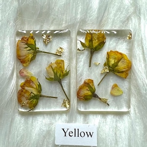 Dried Flower X-ray Markers. X-ray Markers. Rad Tech Markers. X-ray ...