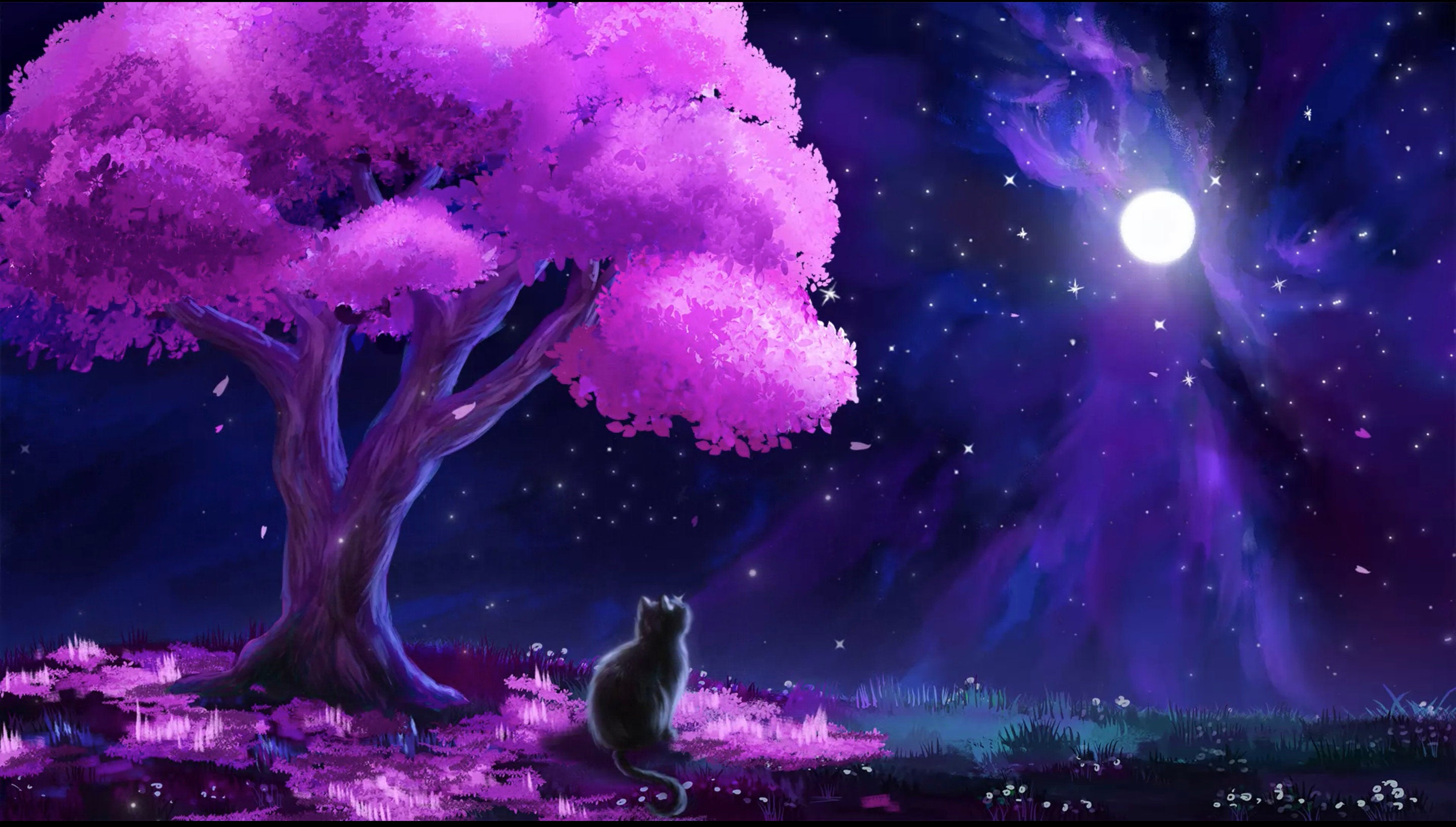 Animated Scenes Black Cat at Sakura Night, Animated Twitch Overlays ...