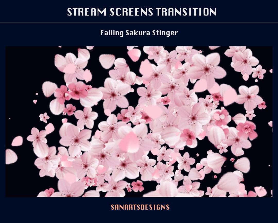 Falling Pink Sakura Twitch Stream Scenes Transition, Falling Cherry ...