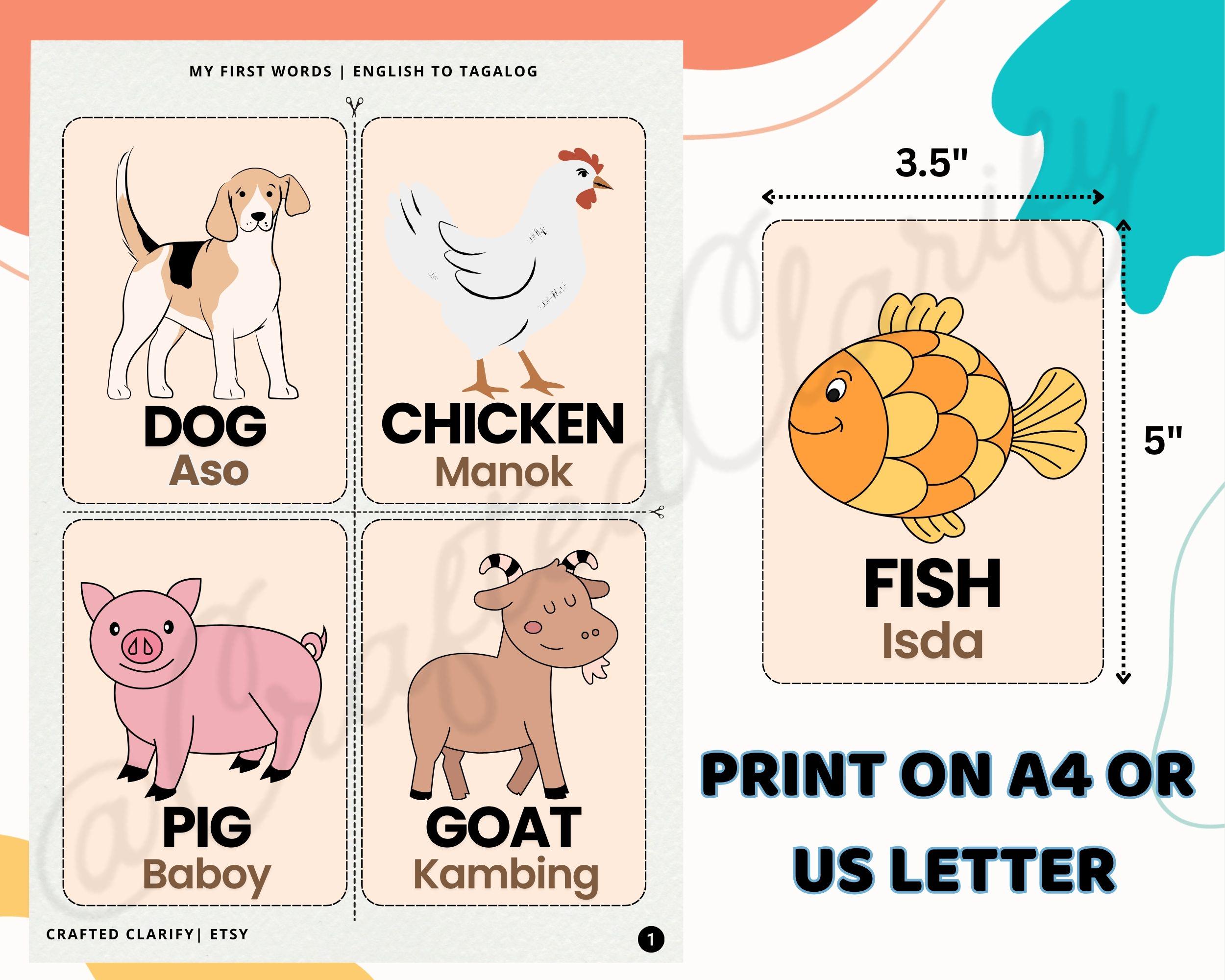 Printable Bilingual Flashcards | My First Words in English & Filipino ...