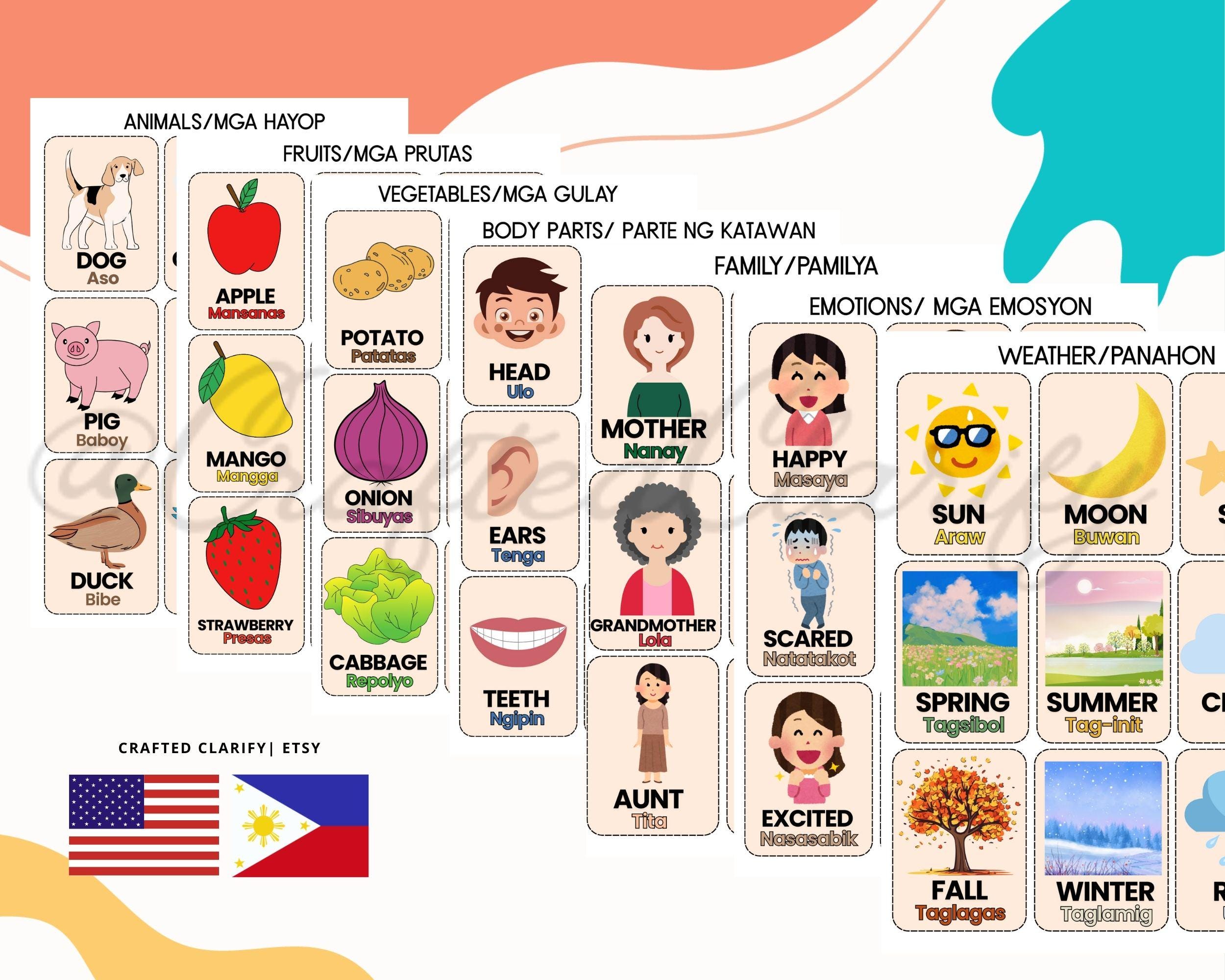 Printable Bilingual Flashcards | My First Words in English & Filipino ...