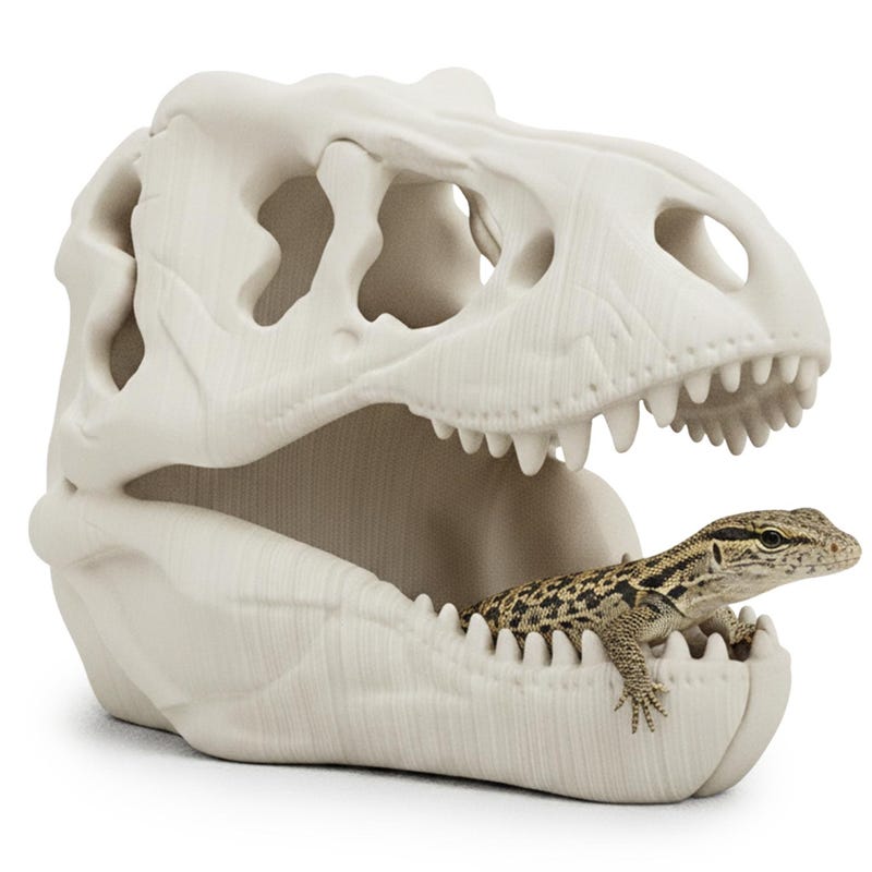 Skull Hide Geckos - Etsy