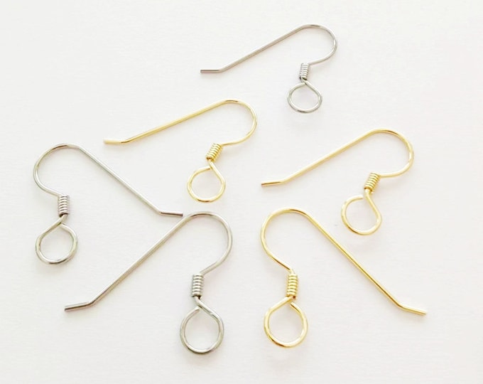 50pcs 20x25mm 316L Stainless Steel Ear Hooks, End Loop Earring Hook ...