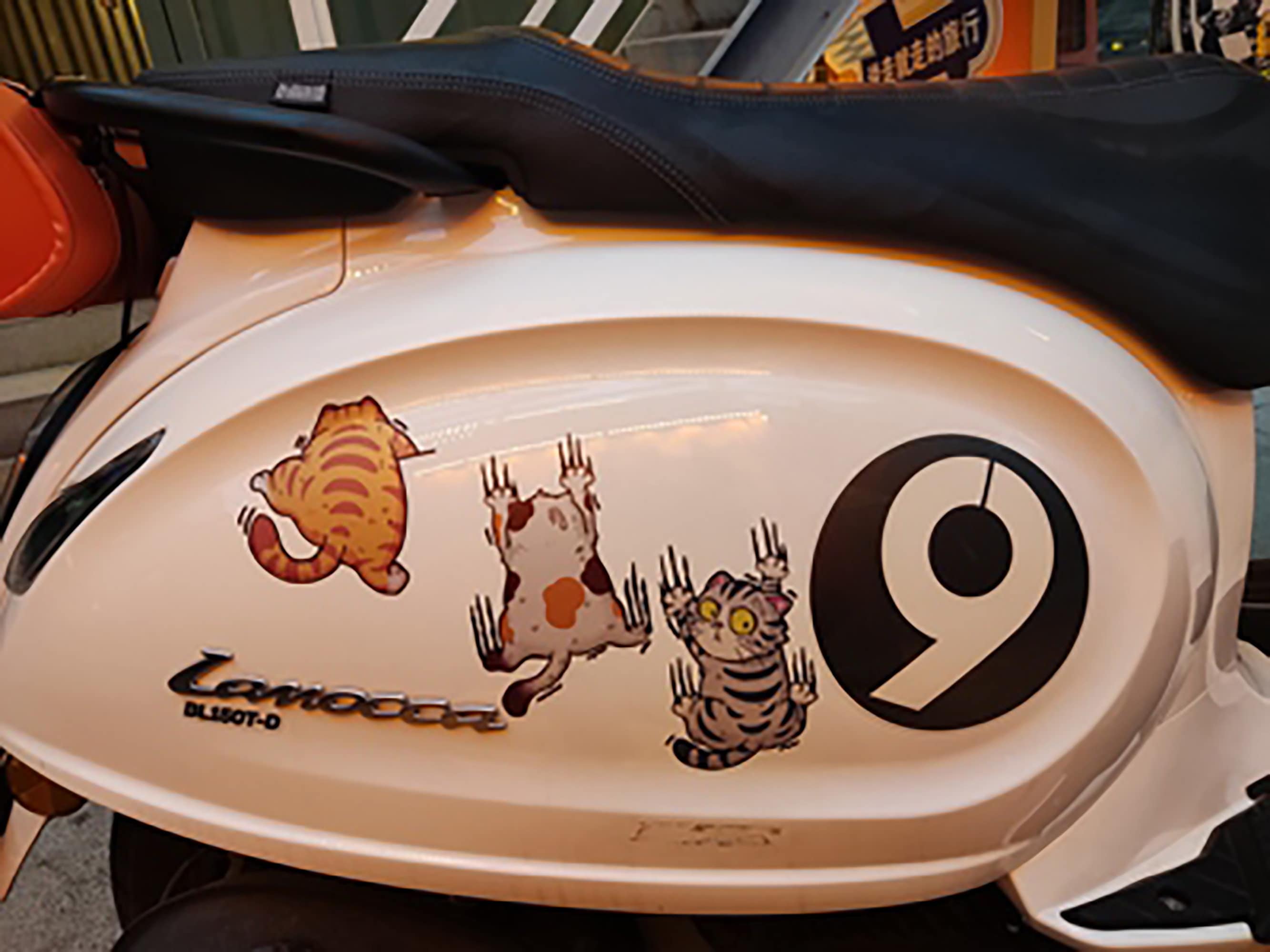 Cute Cartoon Cat Car Sticker Funny Cat Scratch Decals Custom - Etsy ...