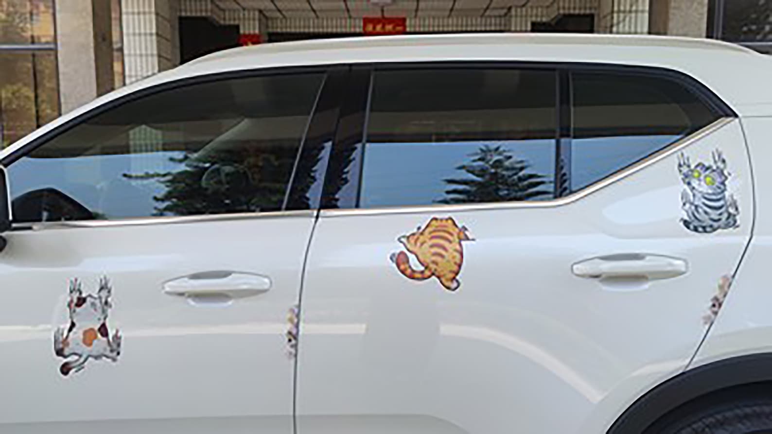 Cute Cartoon Cat Car Sticker Funny Cat Scratch Decals Custom - Etsy