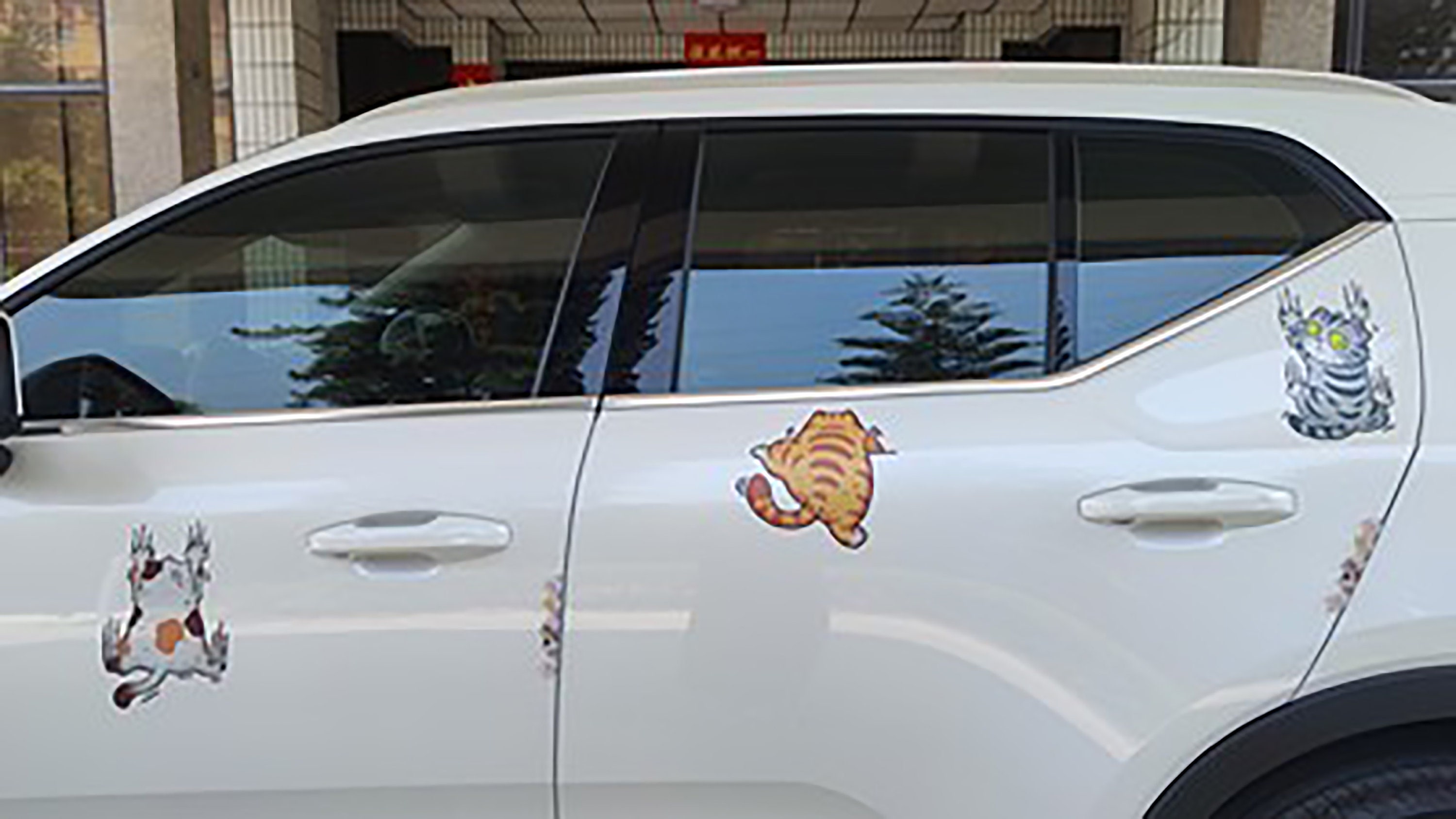 Cute Cartoon Cat Car Sticker Funny Cat Scratch Decals Custom - Etsy UK