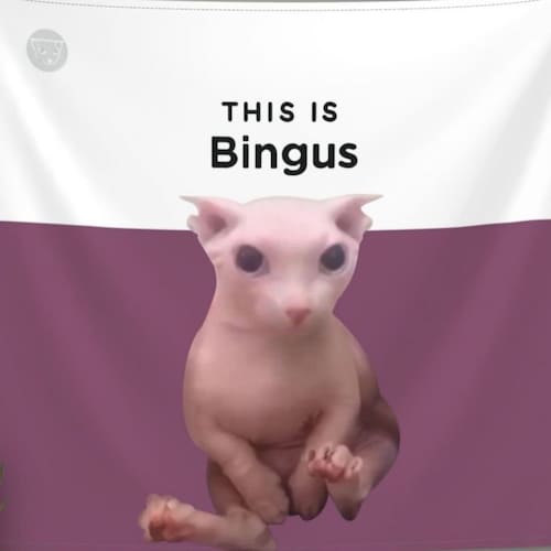 This is Bingus Funny Meme Tapestry Funny Party Poster Funny - Etsy