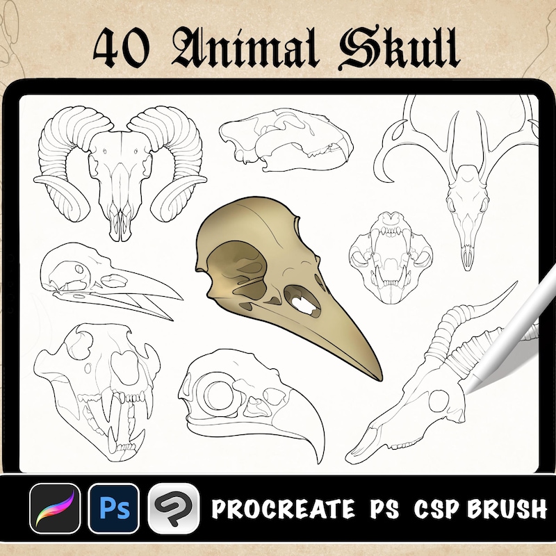 Skull Cat Digital - Etsy