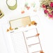 Daily Fall Planner, Fall Aesthetic, to Do List, Creative Planner, Fall ...