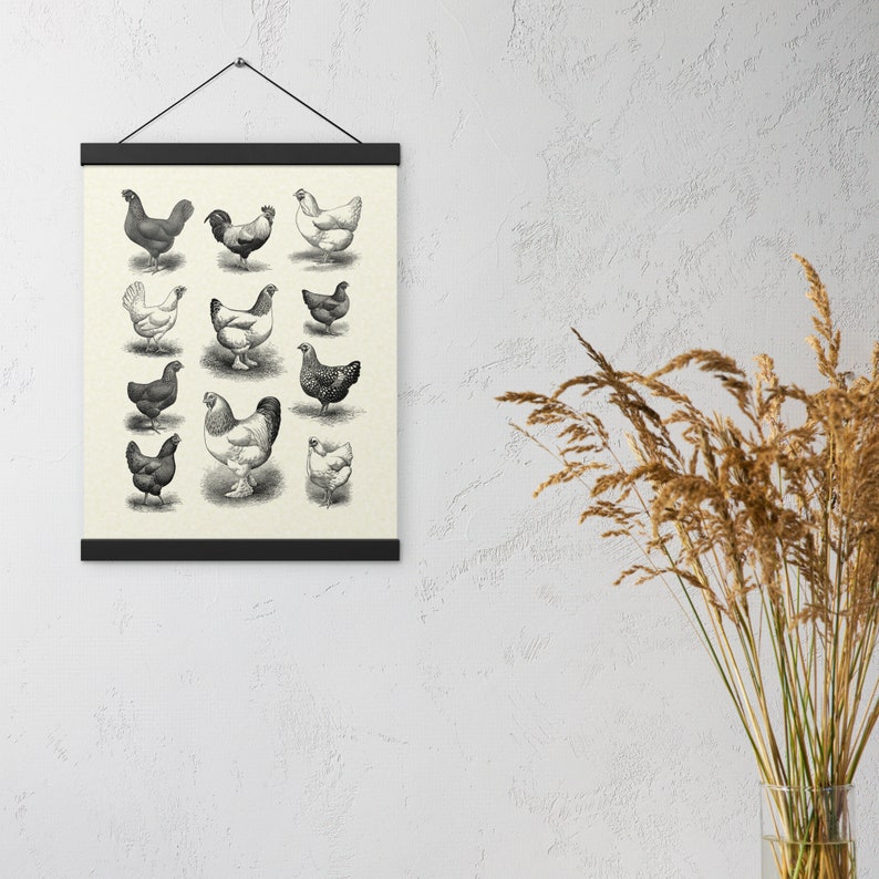 Chicken Hen Rooster Farm - Poster Print With Hangers - Etsy