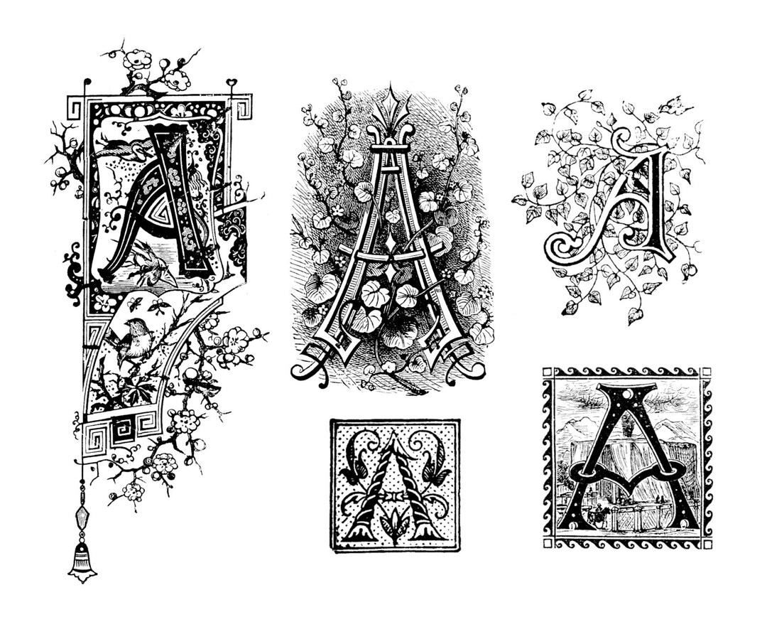 Ornate Letter A Monogram Sentence Starters Five Decorative Nature Font ...