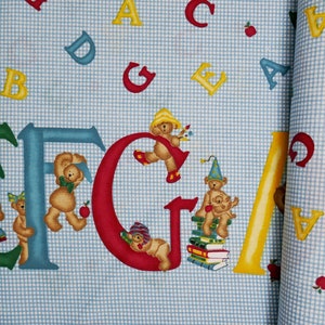 Double Border Print Alphabet on A Gingham Background Cotton Fabric - Etsy