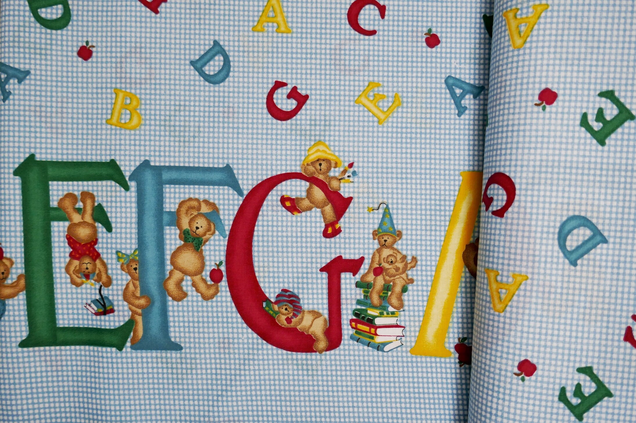 Double Border Print Alphabet on A Gingham Background Cotton Fabric - Etsy