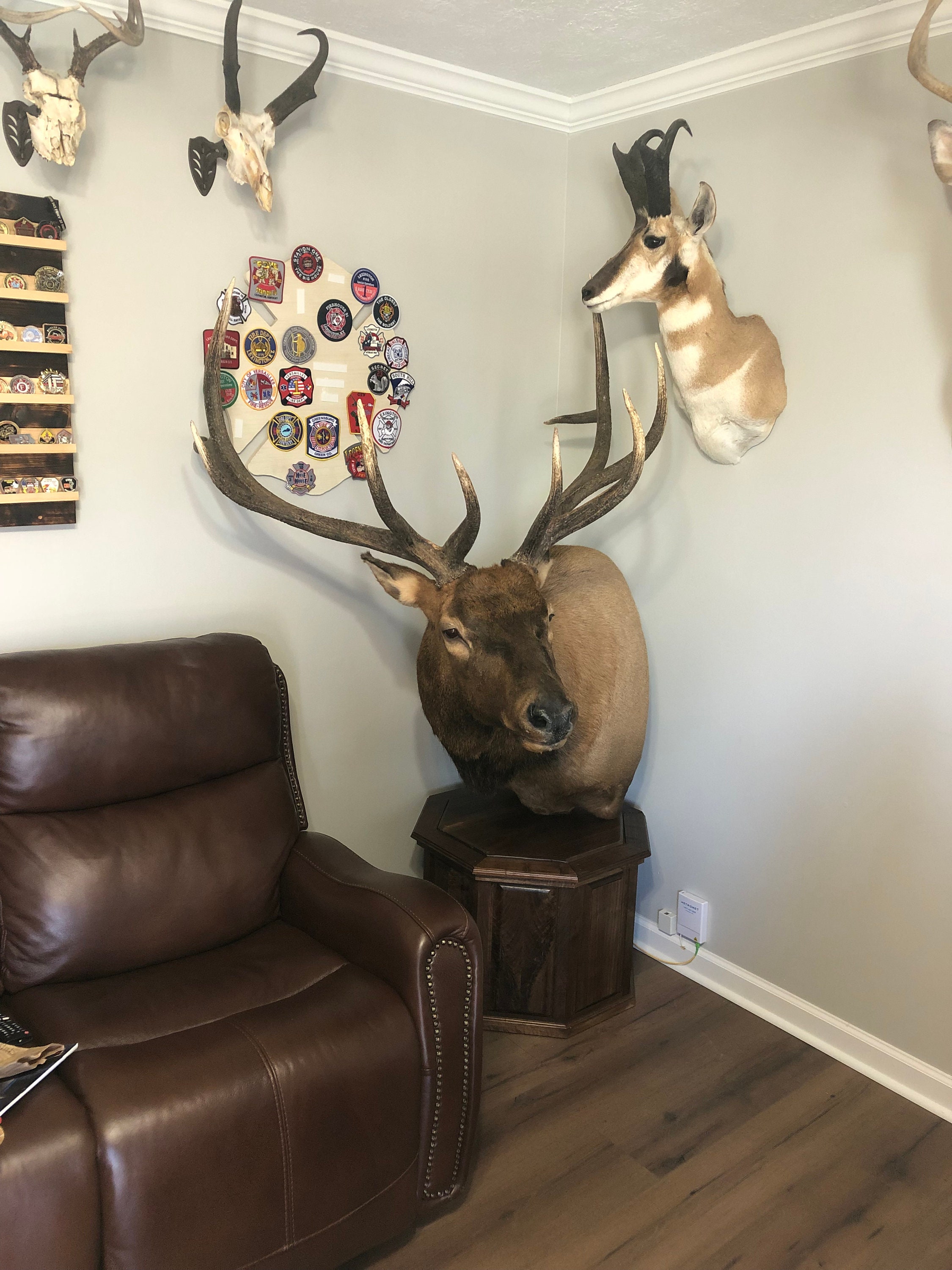 Taxidermy Pedestal - Etsy