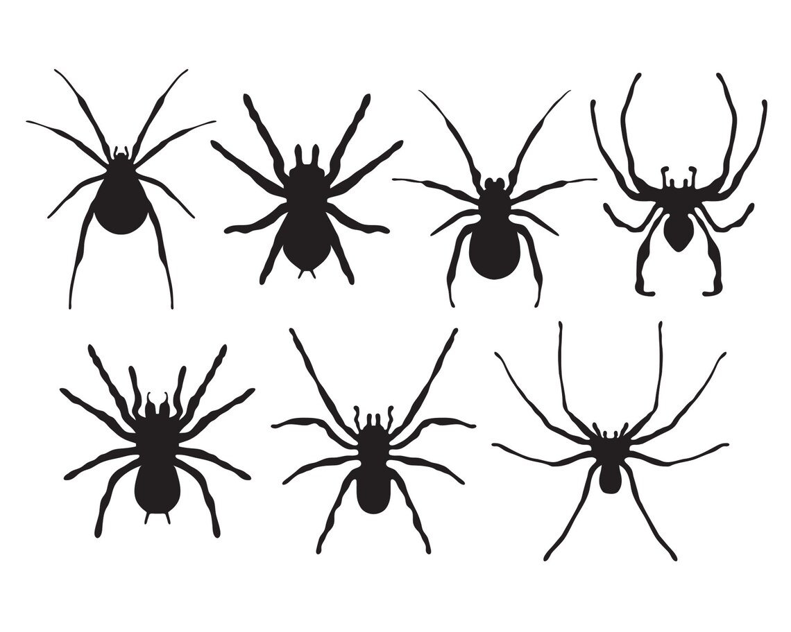 Spider Svg, Spider Dxf, Spider Template, Spider Png, Spiders Png ...