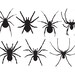 Spider Svg, Spider Dxf, Spider Template, Spider Png, Spiders Png ...