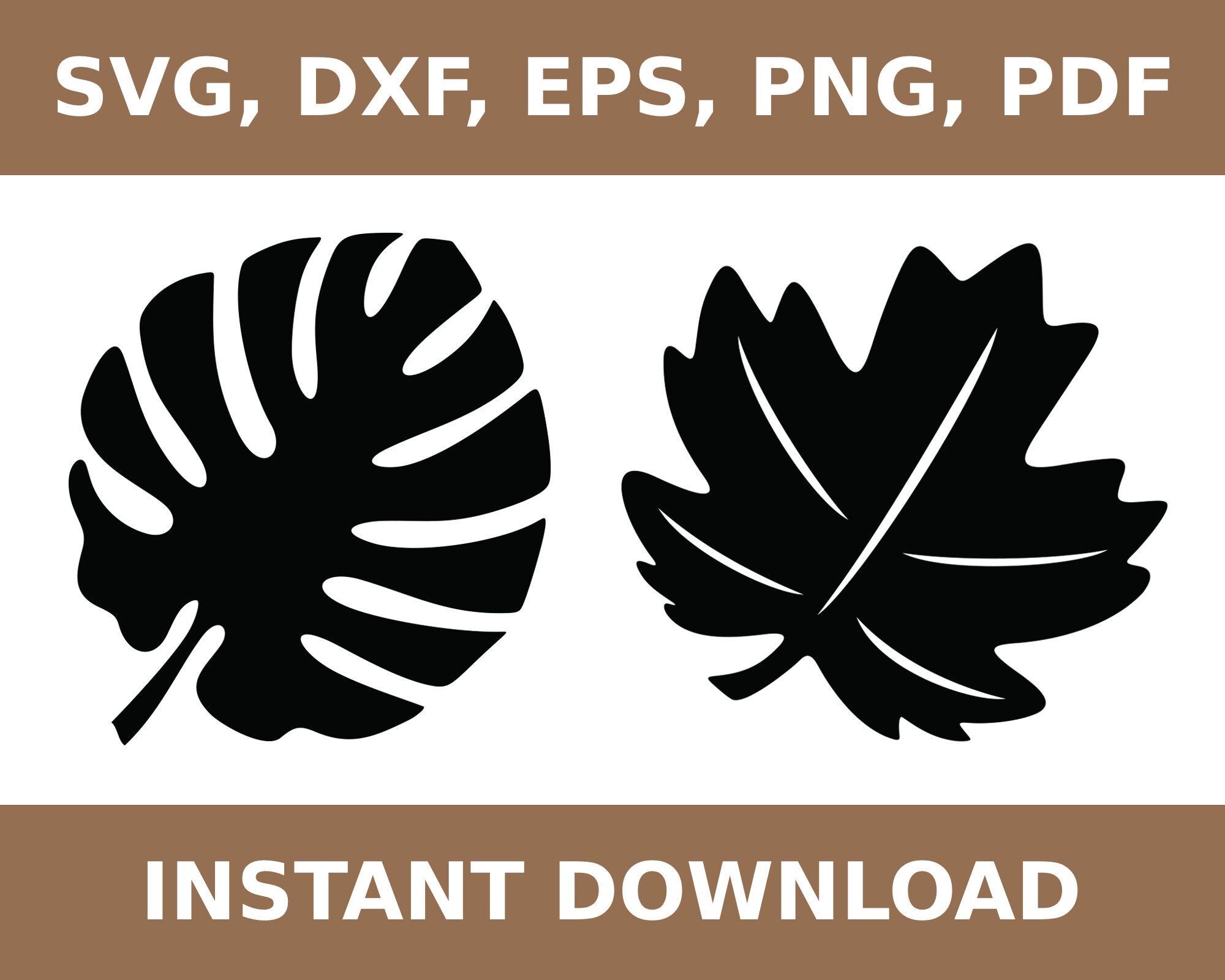 Leaf Svg, Leaf Dxf, Leaf Png, Leaf Laser Cut, Leaf Cut File, Leaf Pdf ...