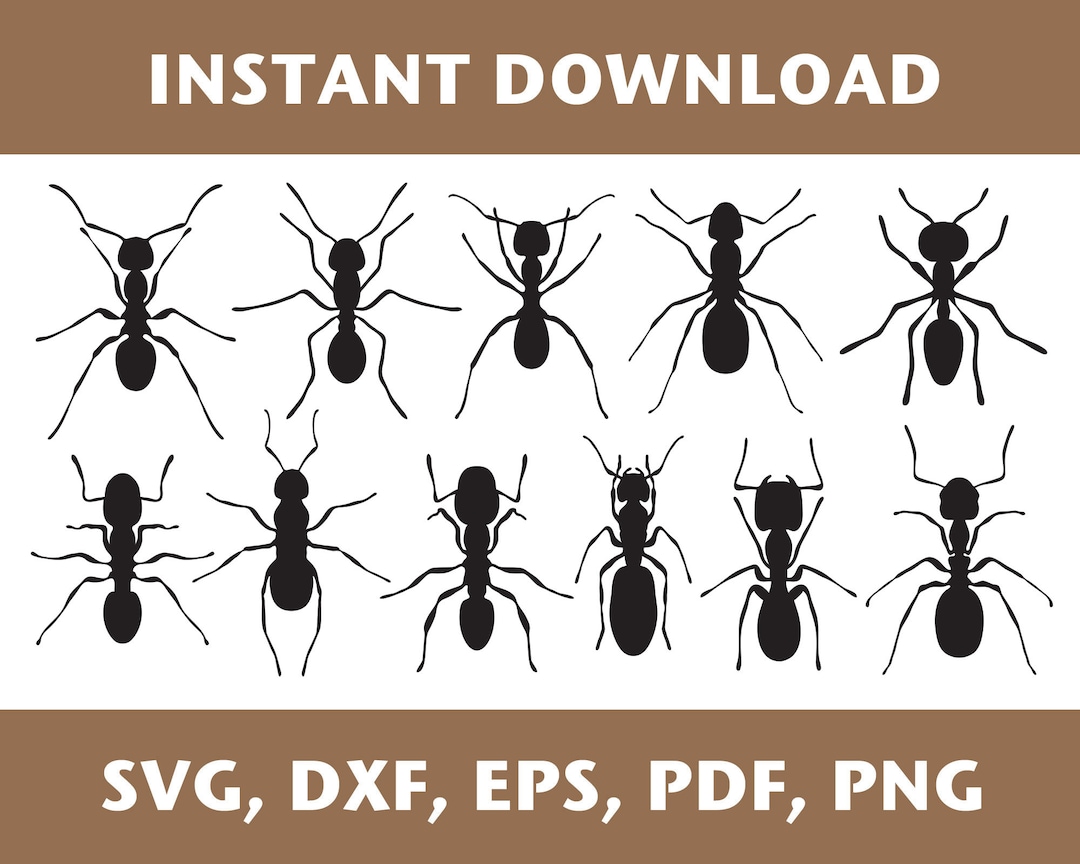 Ant Svg, Ants Svg, Ant Dxf, Ant Template, Ant Png, Ants Png, Ant Cutout ...