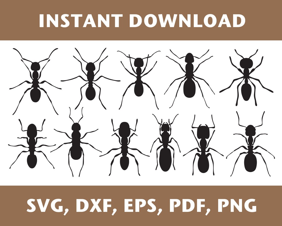 Ant Svg, Ants Svg, Ant Dxf, Ant Template, Ant Png, Ants Png, Ant Cutout ...