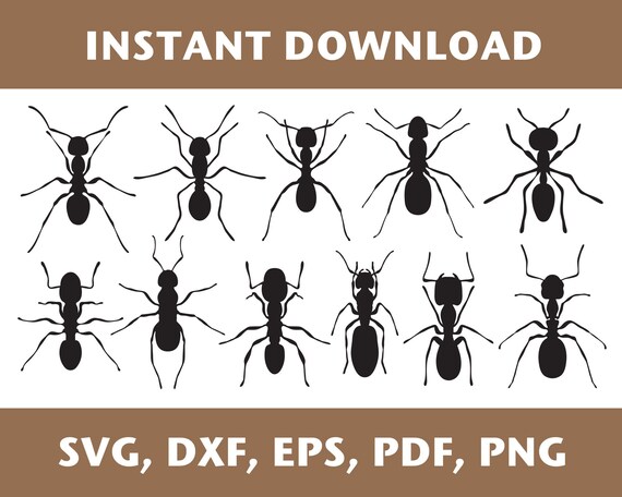 Ant Svg Ants Svg Ant Dxf Ant Template Ant Png Ants Png - Etsy Australia