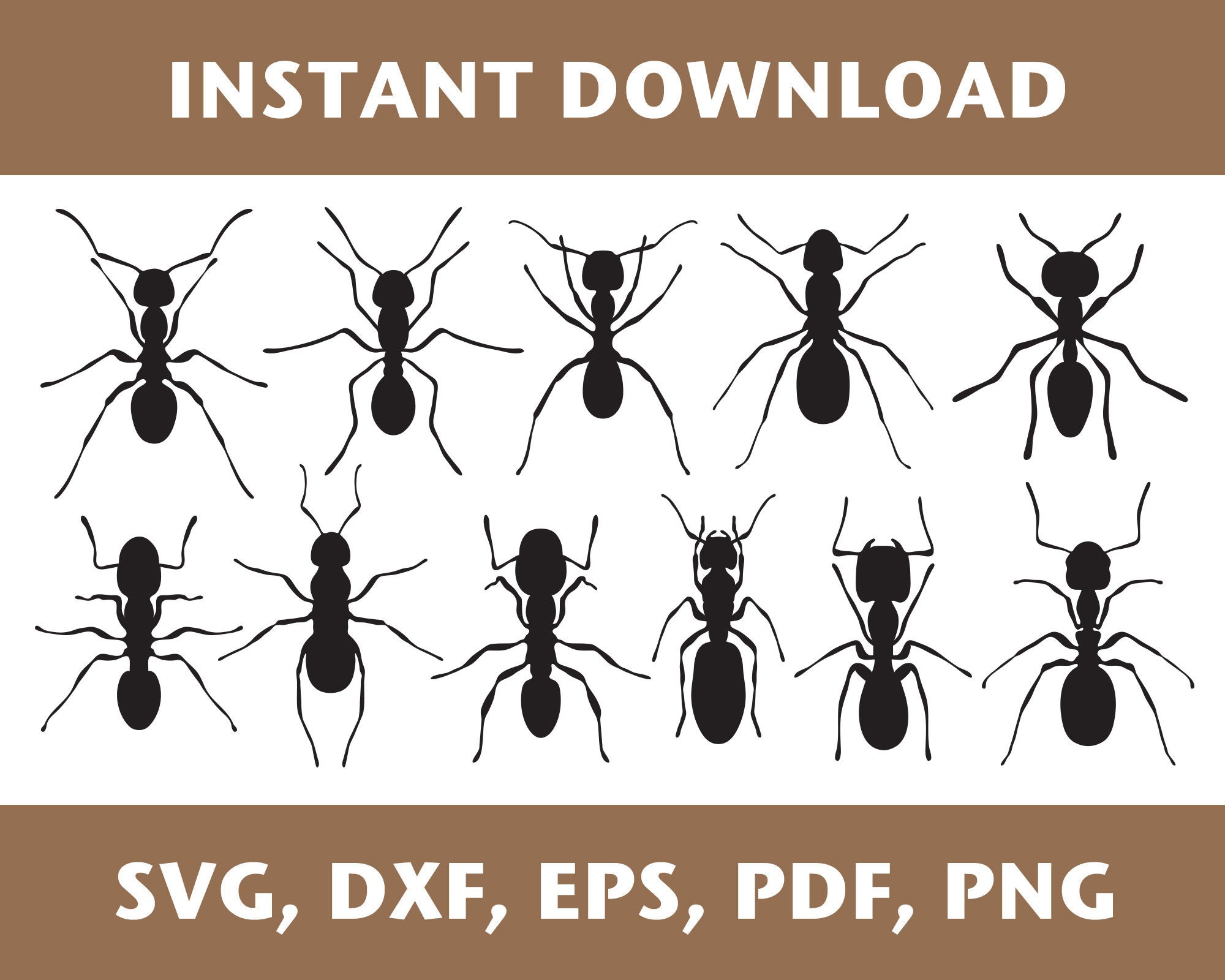 Ant Svg, Ants Svg, Ant Dxf, Ant Template, Ant Png, Ants Png, Ant Cutout ...