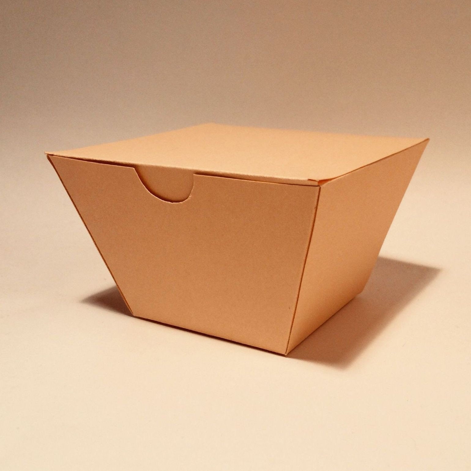 Takeaway Box Template, French Fries Container, Take Away Container ...
