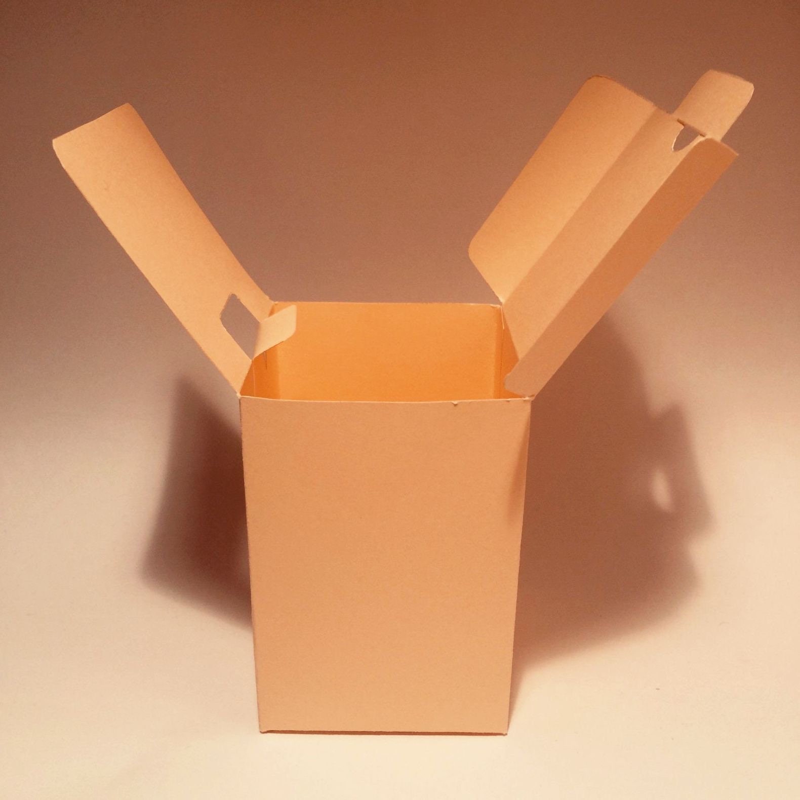 Rectangular Box Template, Shipping Box, Shipping Container, Mailing Box ...