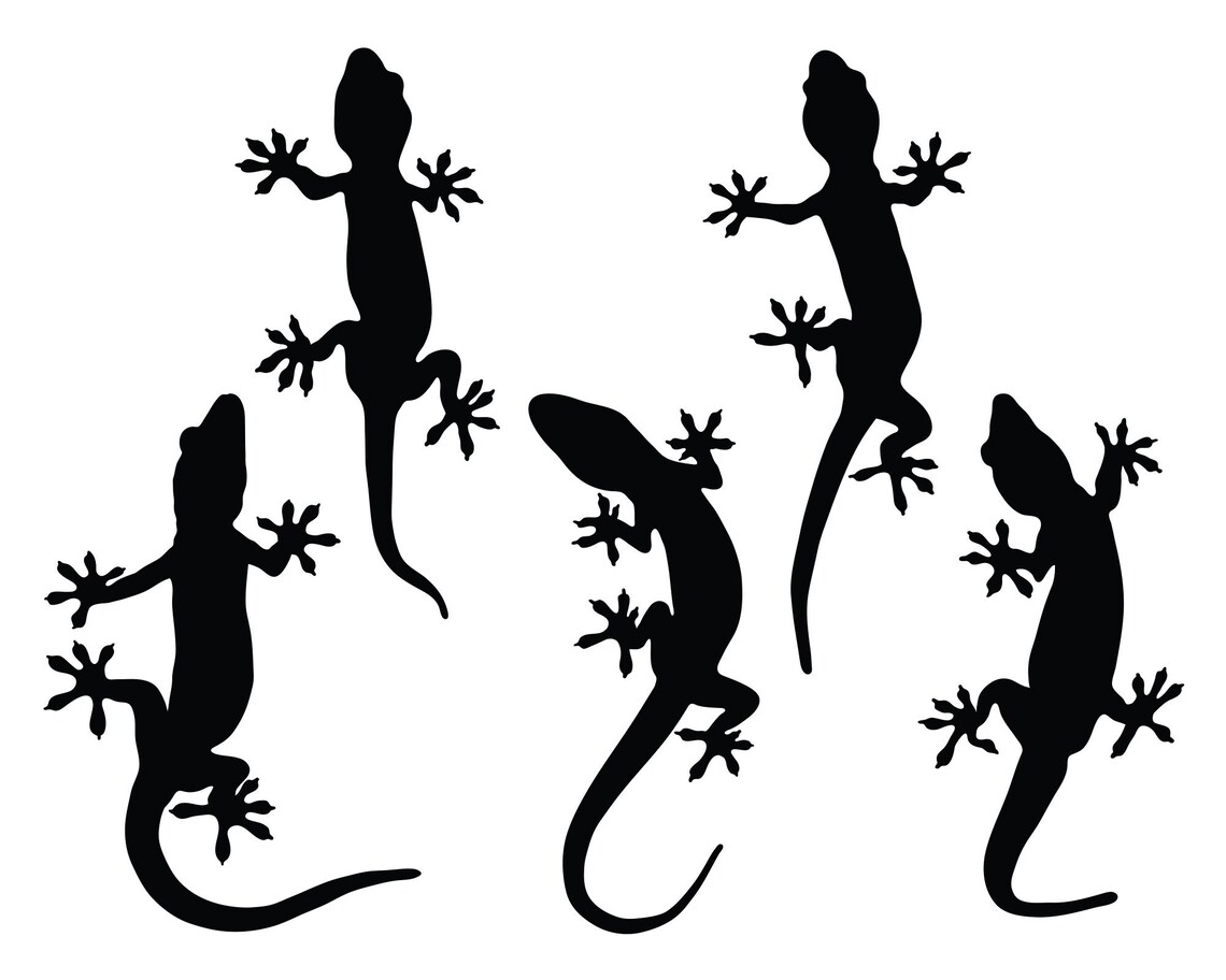 Gecko Svg, Gecko Dxf, Lizard Dxf, Lizard Template, Gecko Template ...