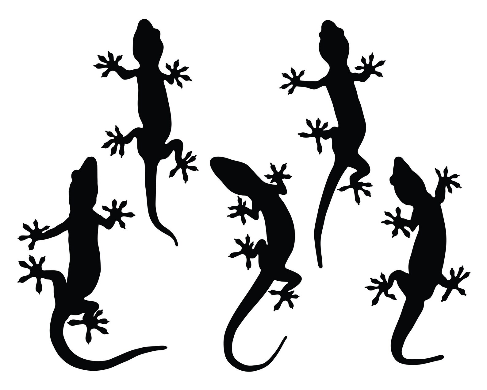 Gecko Svg, Gecko Dxf, Lizard Dxf, Lizard Template, Gecko Template ...