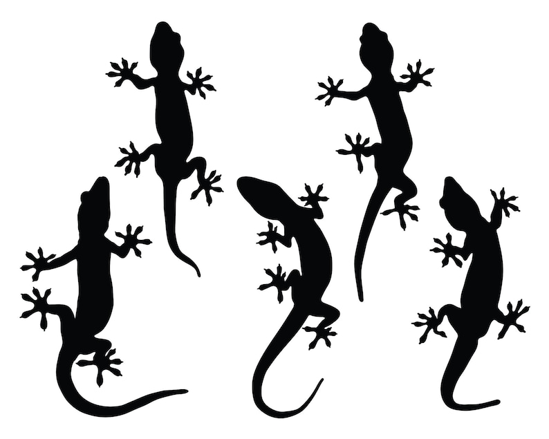 Gecko Svg, Gecko Dxf, Lizard Dxf, Lizard Template, Gecko Template ...