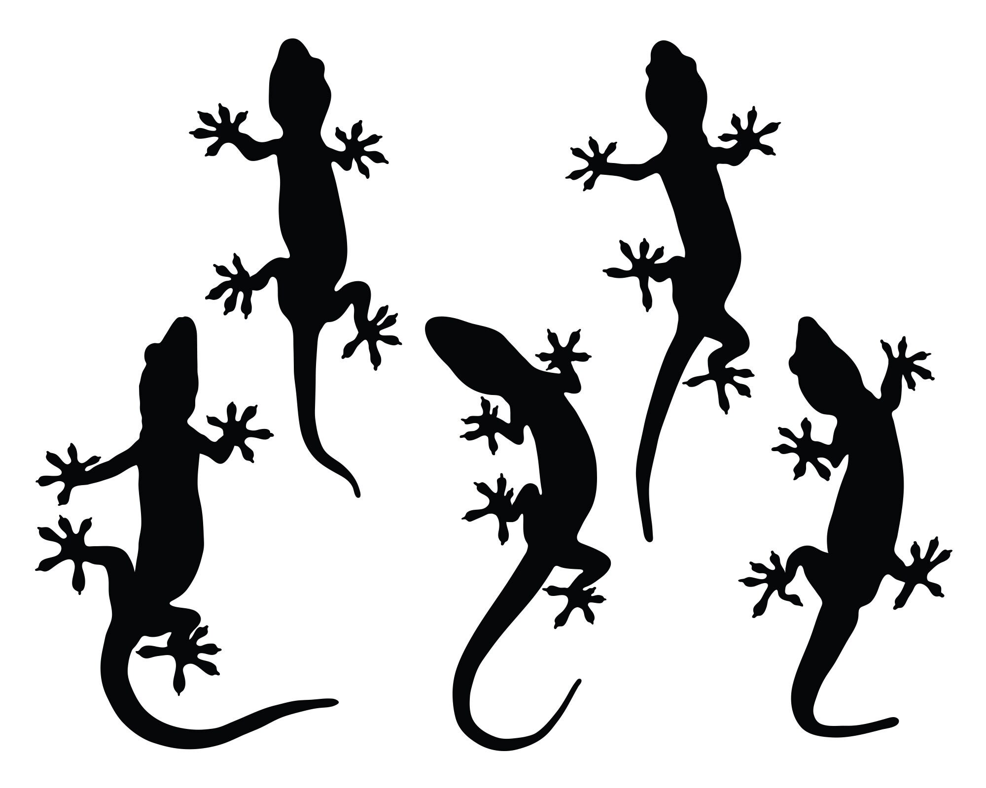 Gecko Svg, Gecko Dxf, Lizard Dxf, Lizard Template, Gecko Template ...