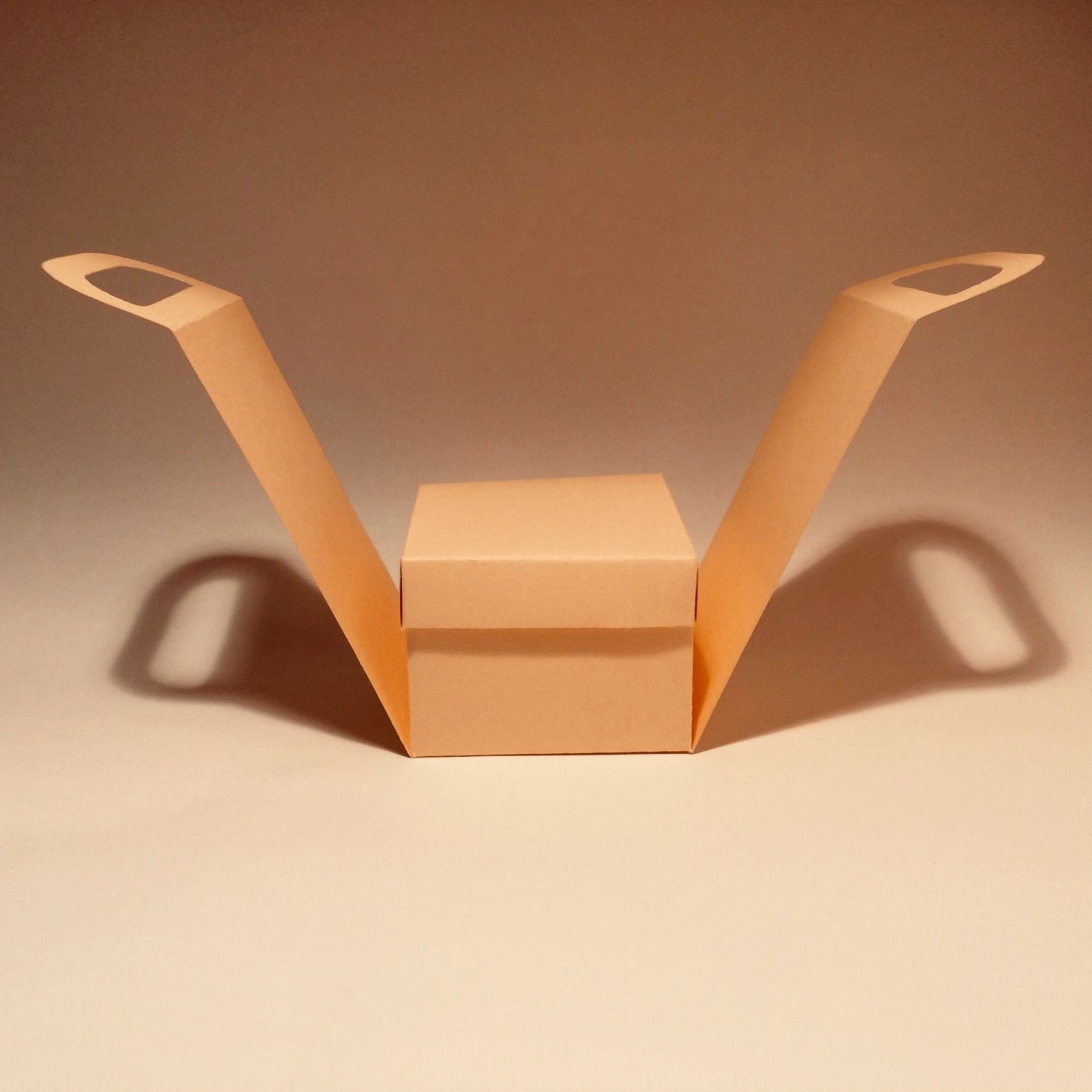 Take Out Bag, Takeout Box, Paper Bag, Carrier Bag, Take Out Box ...
