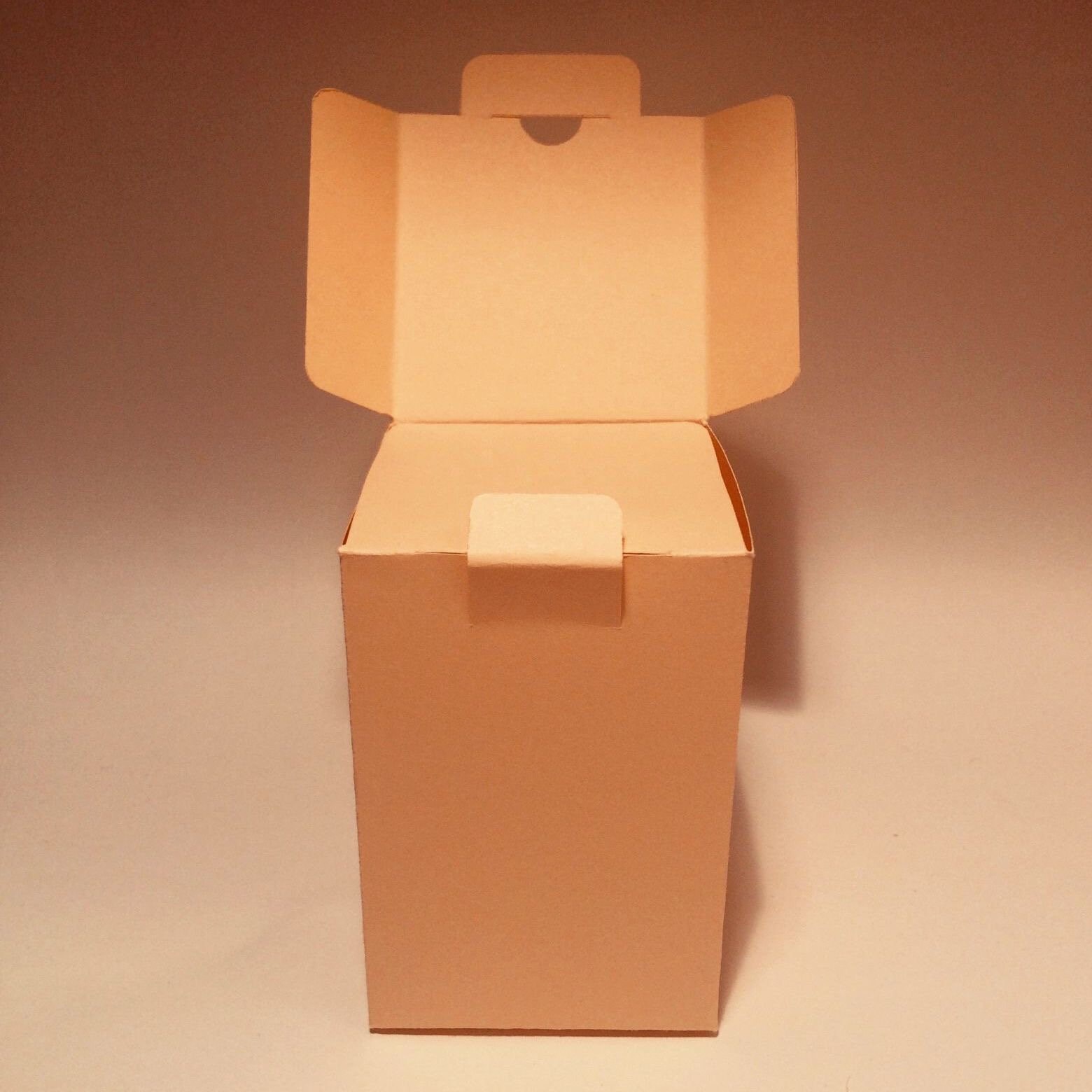 Rectangular Box Template, Shipping Box, Shipping Container, Mailing Box ...