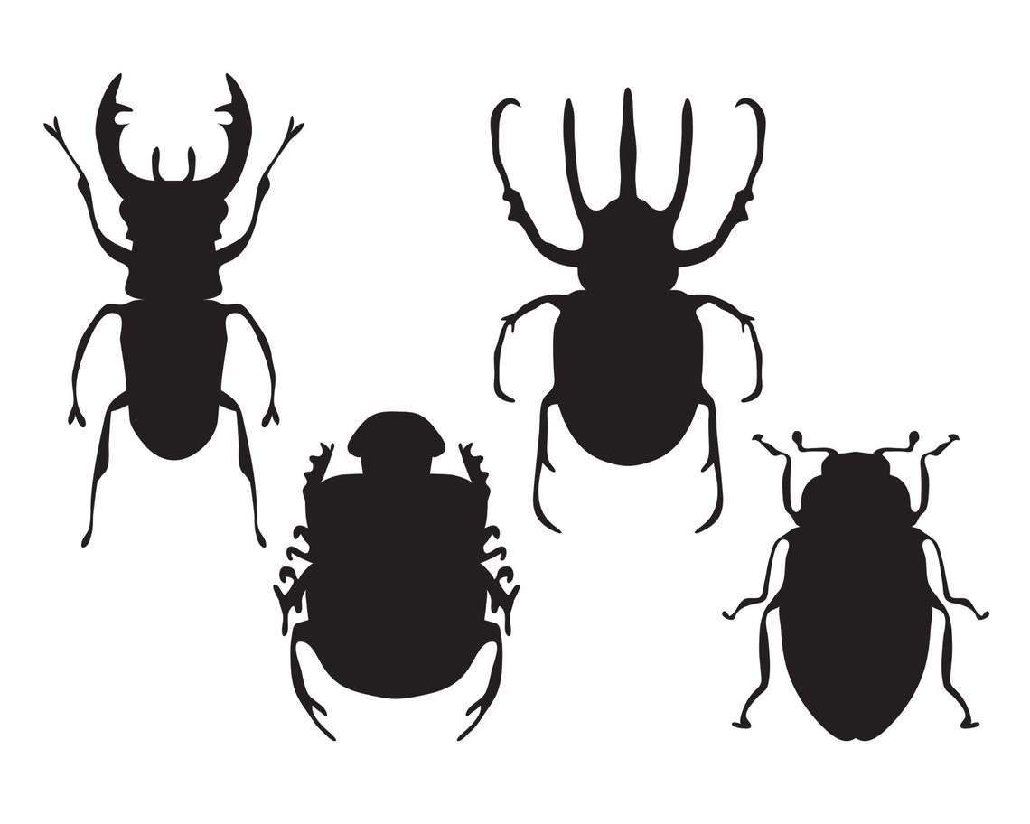 Bug Svg, Bugs Svg, Beetles Svg, Bug Dxf, Beetle Dxf, Bug Template ...