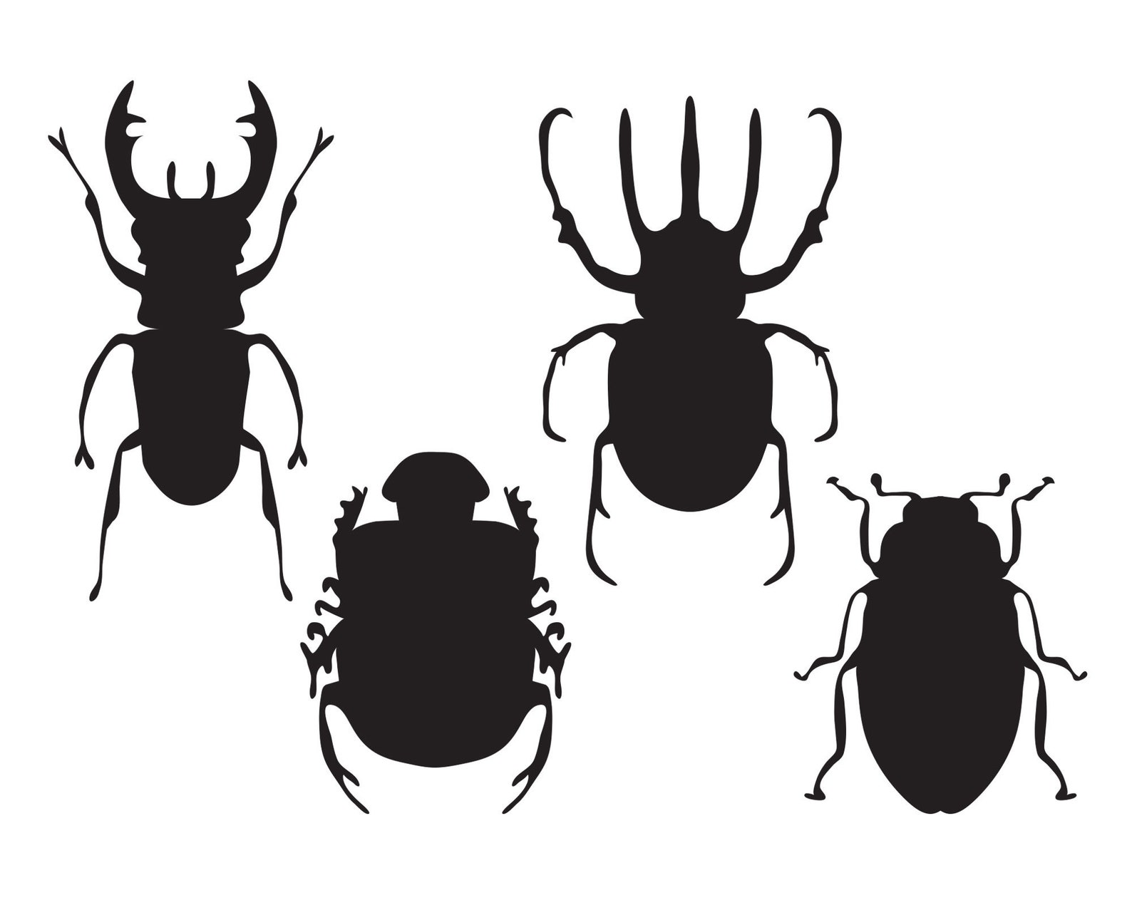 Bug Svg, Bugs Svg, Beetles Svg, Bug Dxf, Beetle Dxf, Bug Template ...