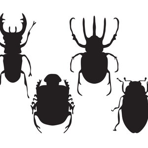 Bug Svg, Bugs Svg, Beetles Svg, Bug Dxf, Beetle Dxf, Bug Template ...