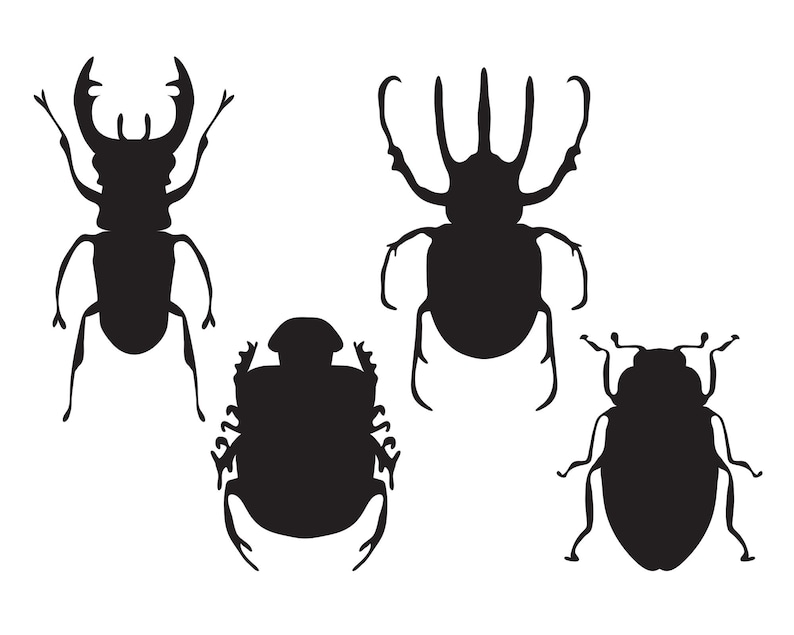 Bug Svg, Bugs Svg, Beetles Svg, Bug Dxf, Beetle Dxf, Bug Template ...