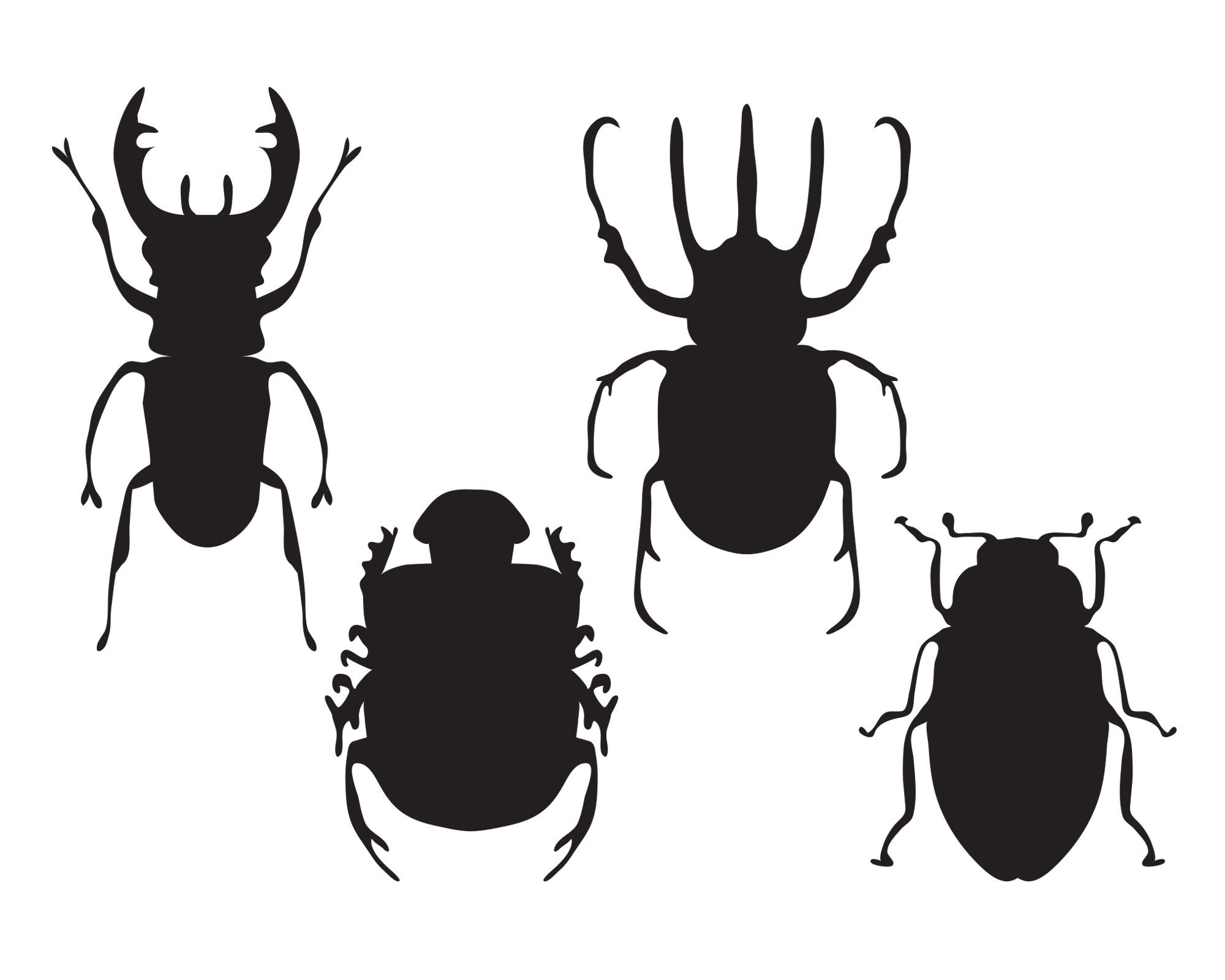 Bug Svg, Bugs Svg, Beetles Svg, Bug Dxf, Beetle Dxf, Bug Template ...
