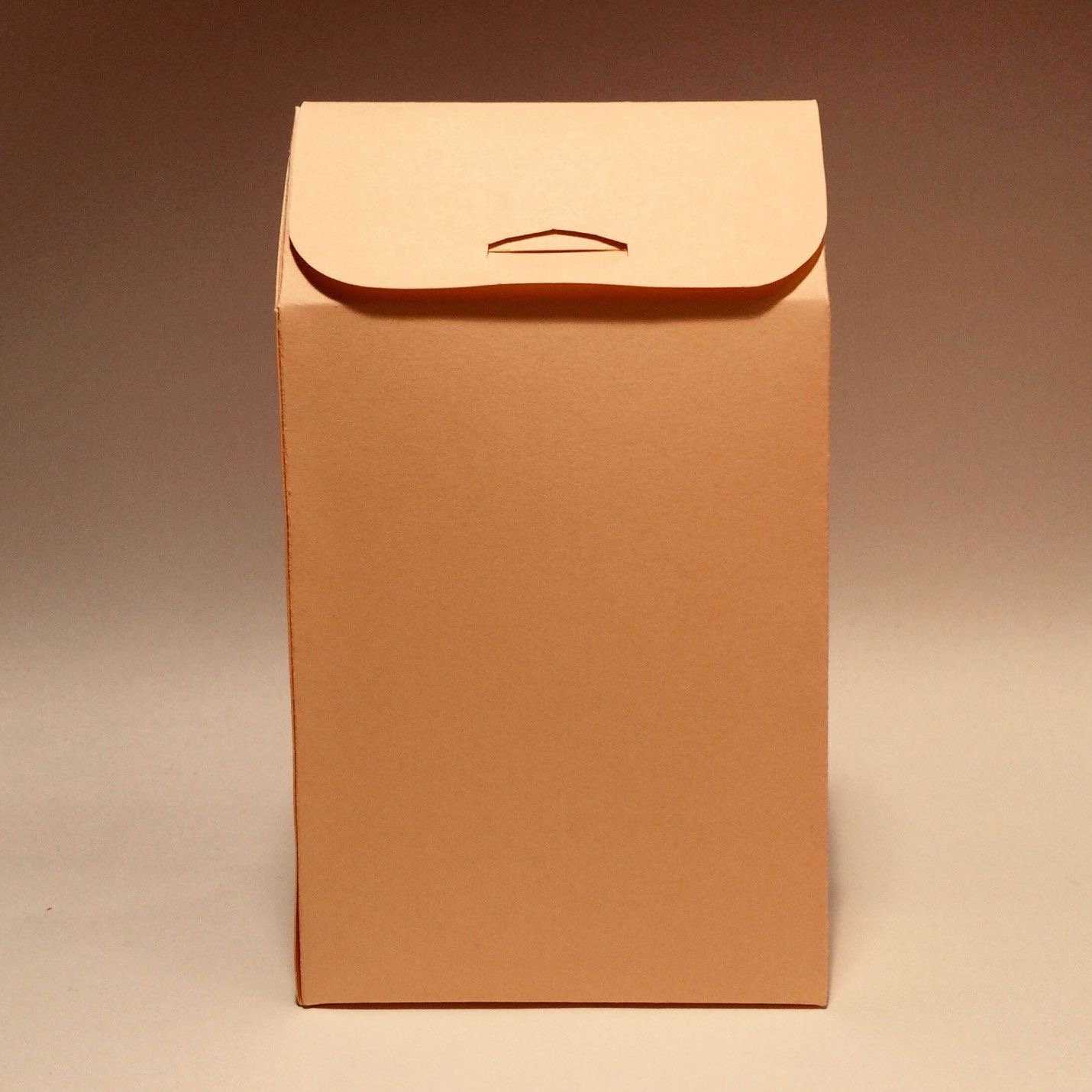 Tea Box Template, Tea Gift Box, Coffee Gift Box, Tea Bag Box, Coffee ...