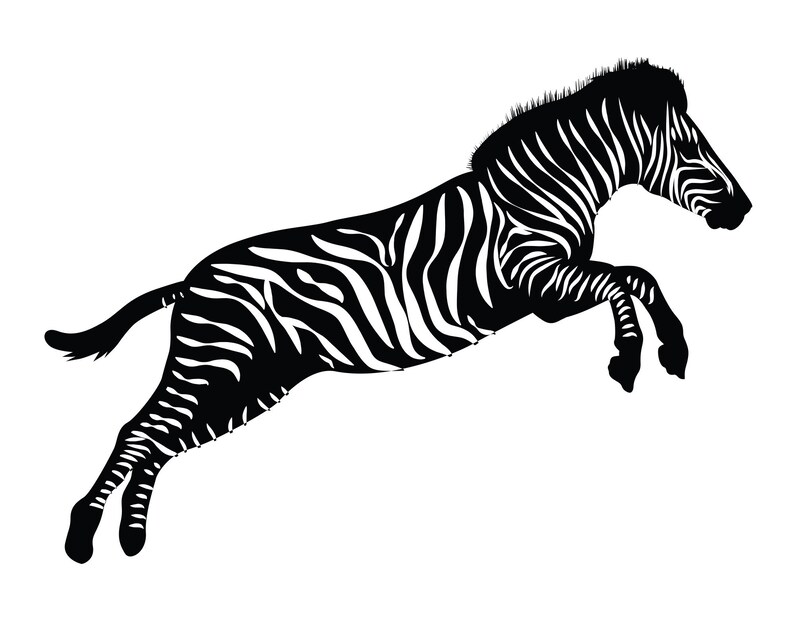 Zebra Svg, Zebra Png, Zebra Template, Zebra Cut File, Zebra Cutout ...